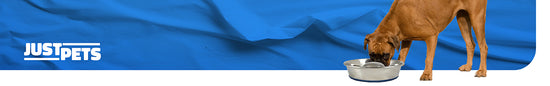 Just Pets- Brit Care- Envios en el Dia – Just Pets